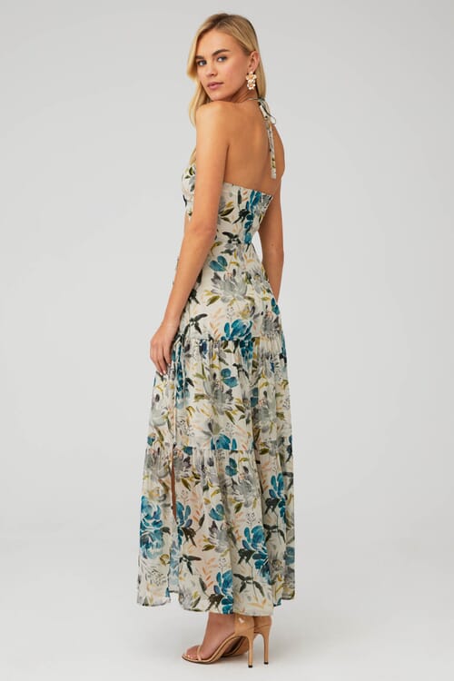 RAYS FOR DAYS | Gaia Dress in Chiffon Soiree Floral| FashionPass