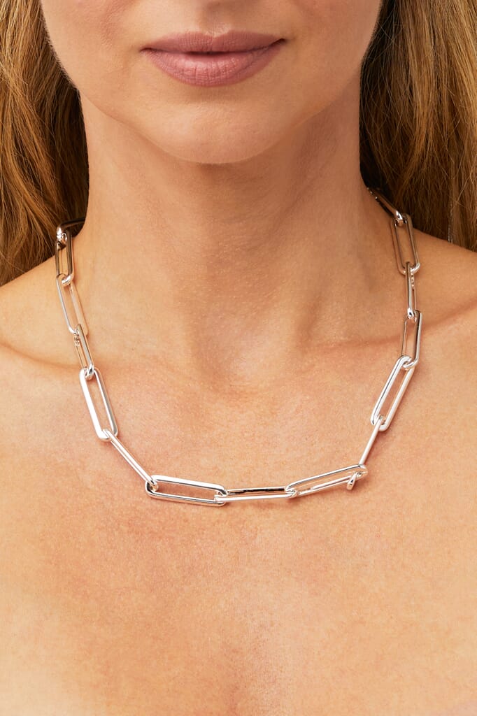 Jenny Bird Stevie Necklace In Silver Fashionpass