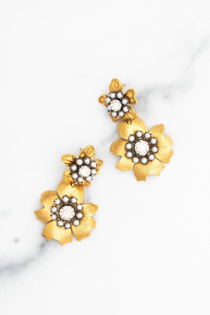 Elizabeth Cole | Susan Earrings in Crystal| FashionPass